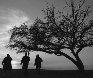 TeneG | טנא ג'י | פורטל המוזיקה הישראלית של גיא טנא | ביקורת אלבומים ...